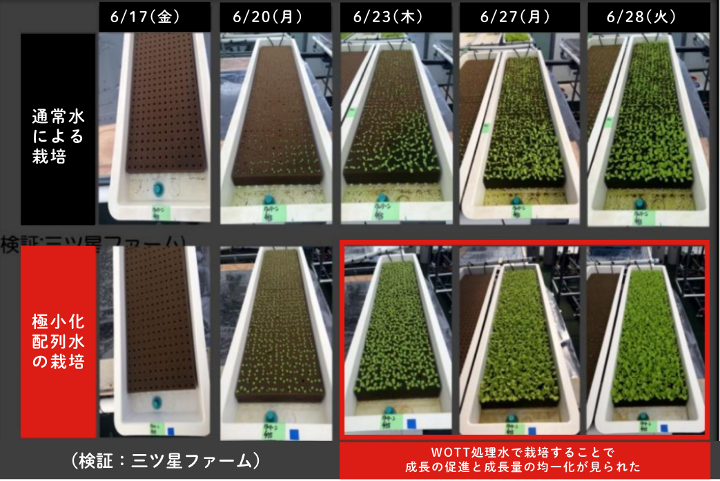 WOTT（水分子の極小化を創る最先端テクノロジー機器）